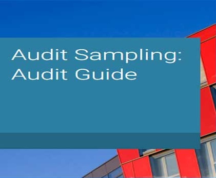 Lynford Graham - Audit Sampling: Audit Guide